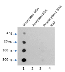 PTM BIO