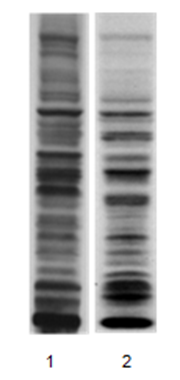 PTM BIO